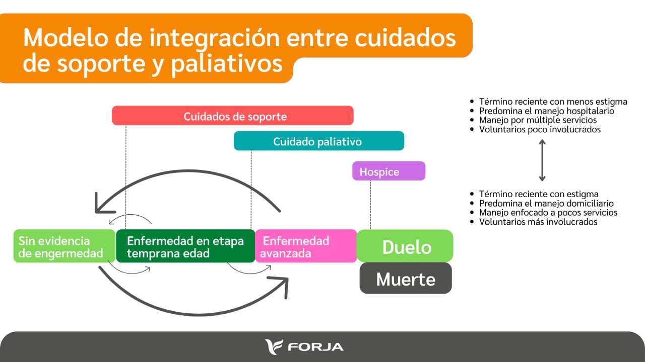 Abordaje básico del paciente que requiere cuidados paliativos - Forja ...